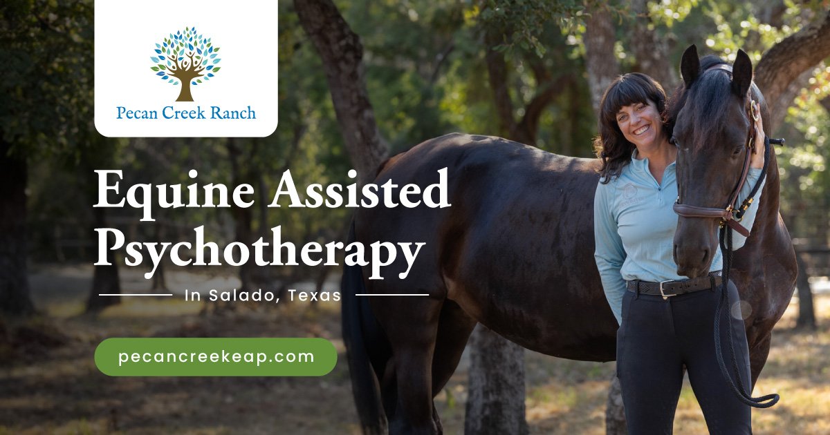 Equine Therapy - Pecan Creek Ranch in Salado, TX
